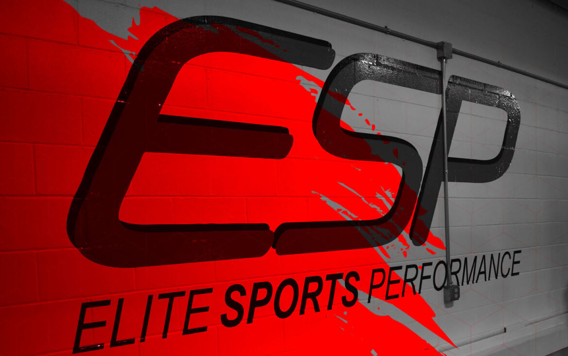 Portfolios Archive | Prairie Athletic Club